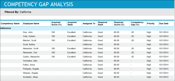 Competency Gap Analysis report